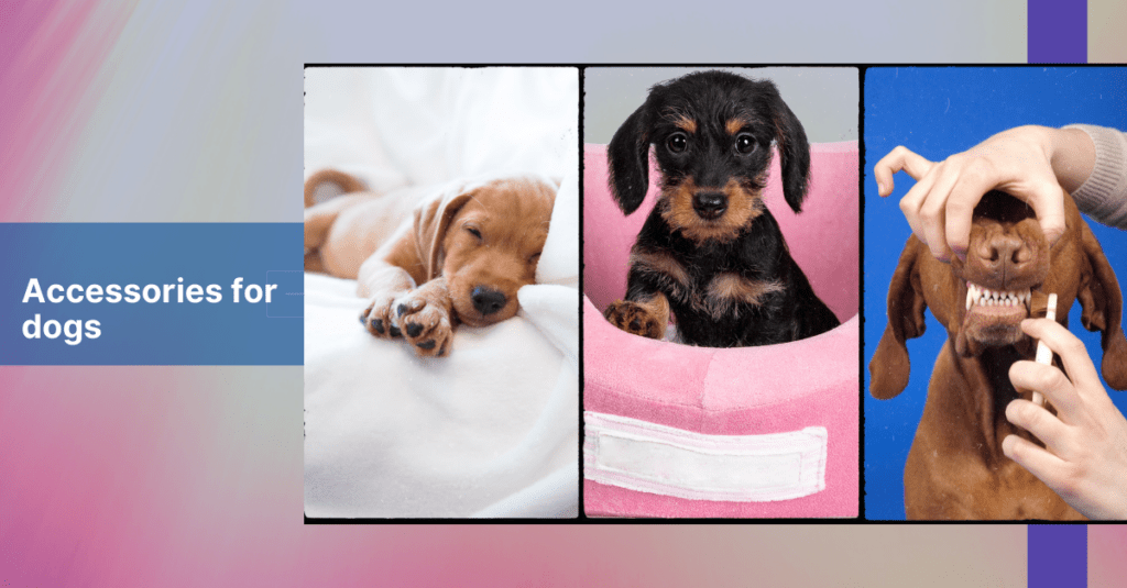 Cool Dog Accessories Every Pet Lover Needs