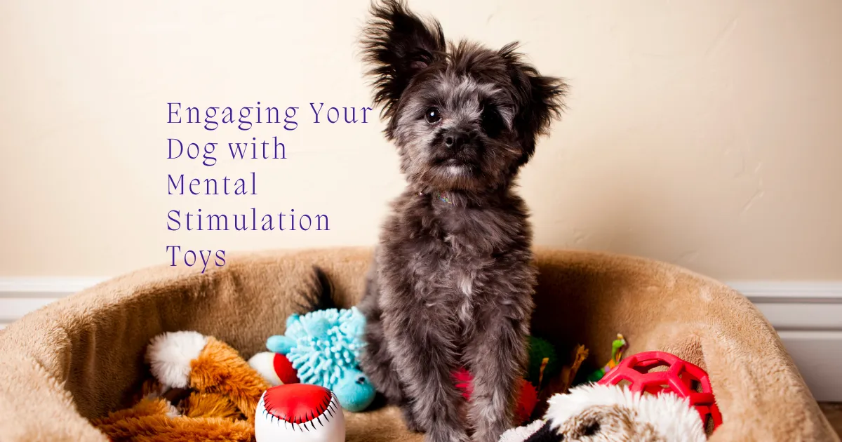 Mental Stimulation for Dogs: How to Engage Dogs with Toys