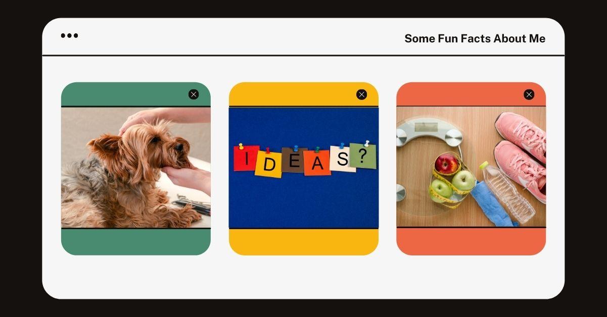 About Us: Who We Are And What We Do