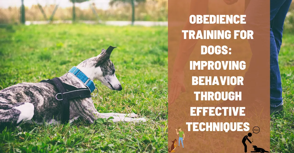 Obedience Training For Dogs: Strong Obedience Better Behavior